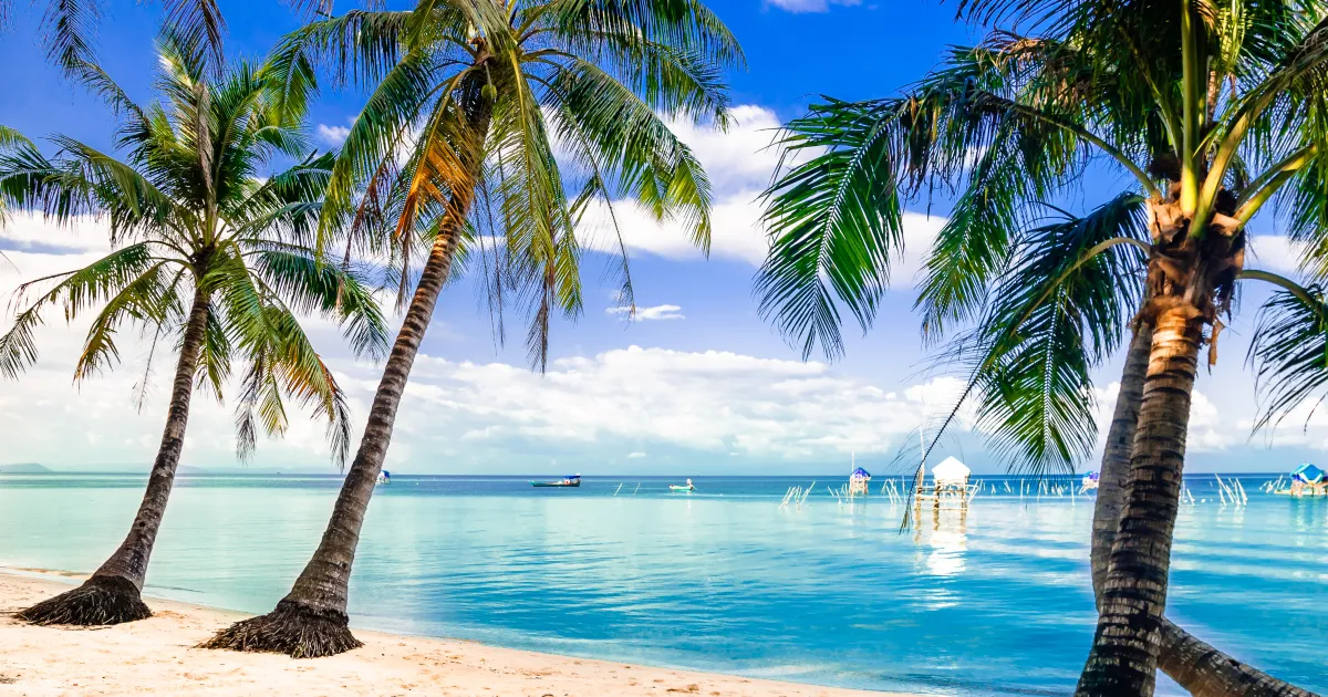 Kam letět v květnu?